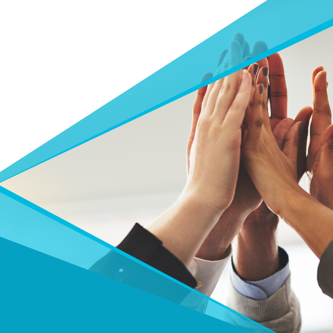 Business and Digital Transformation - Kapish