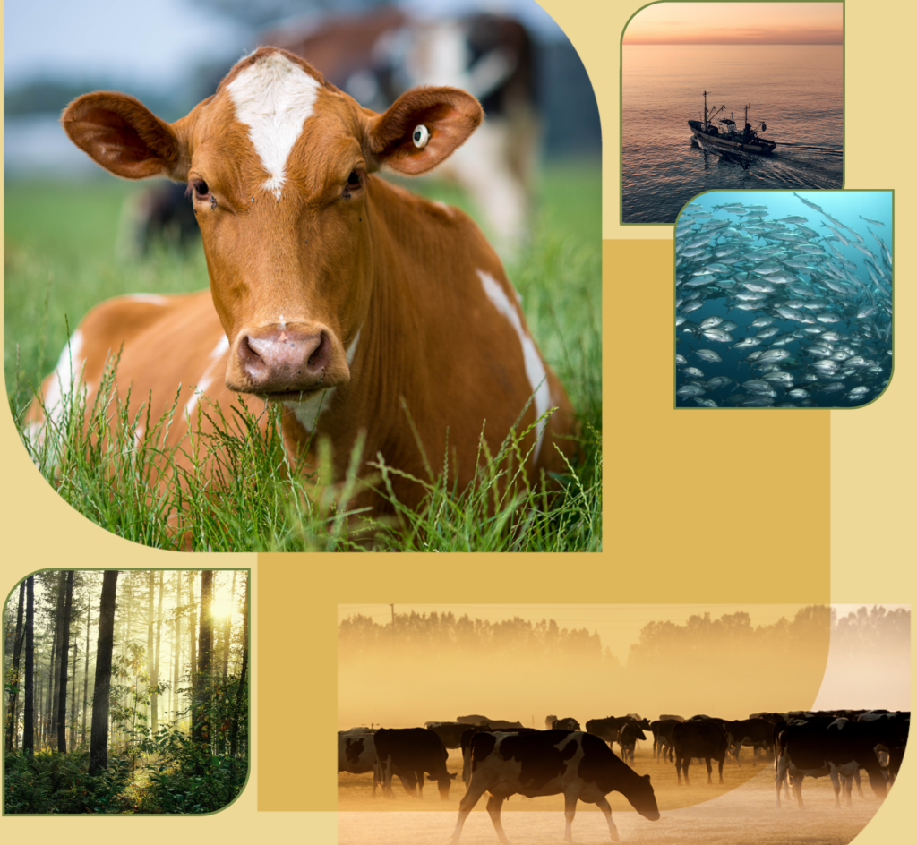 Kapish signs 6 year contract with DAFF - Kapish